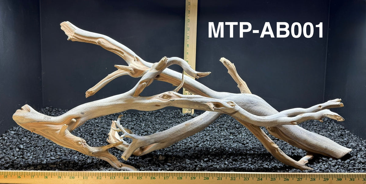 Ghostwood | Manzanita Tree Pair | Specialty Piece | #MTP-AB001 – Pet ...