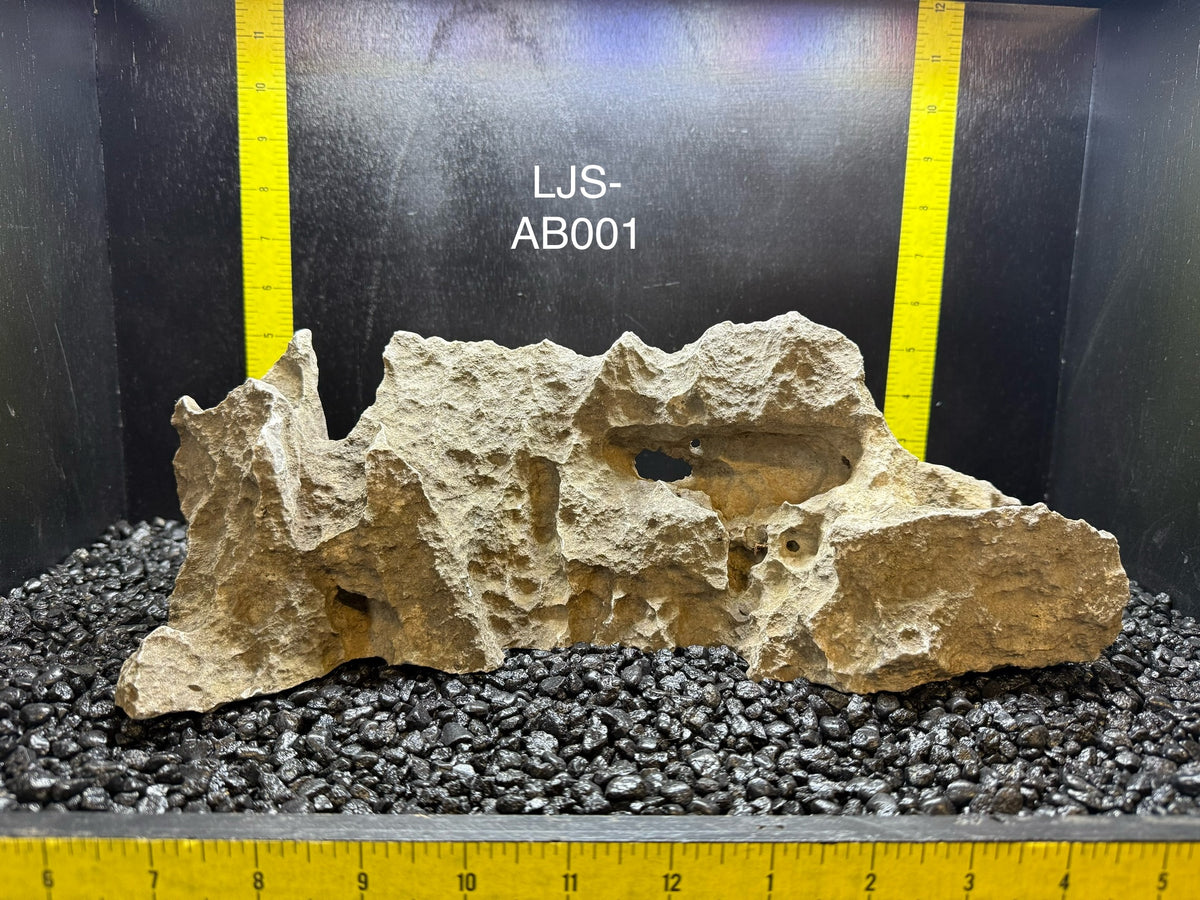 Lucky Jagged Stone | Show-Piece | #LJS-AB001 – Pet World Lawrence Online