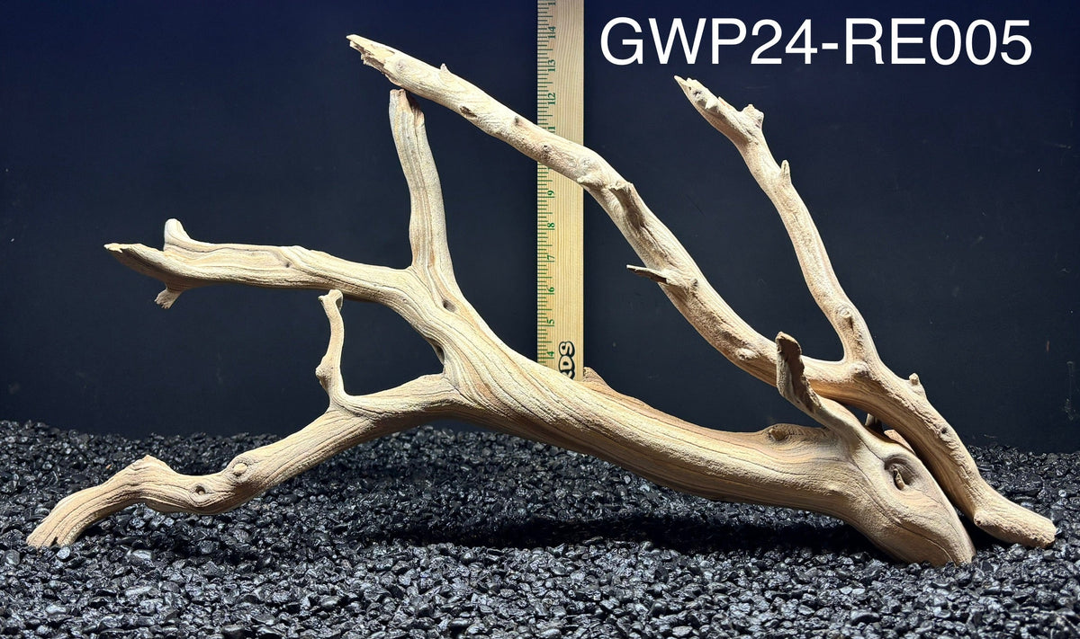Ghostwood Pair | 24 inch | Specialty Pieces | #GWP24-RE005 – Pet World ...