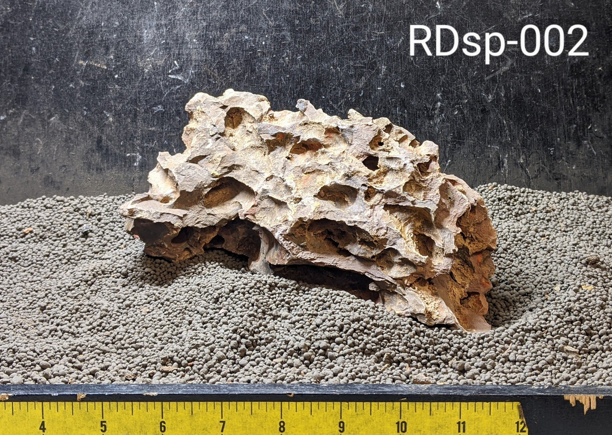 Red Dragon Stone | Show-Piece | #002 – Pet World Lawrence Online